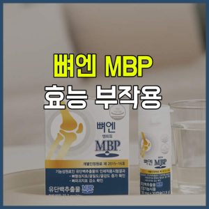뼈엔 엠비피 MBP 효능 부작용 복용법 가격 정리